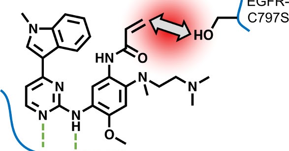 Covalent Modifiers: C797S Resistance: The Undruggable EGFR Mutation in ...
