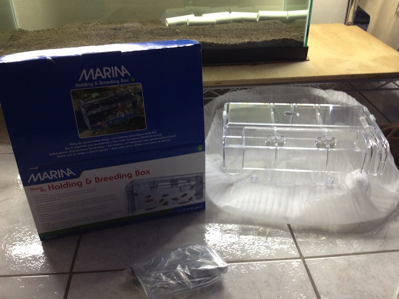 Just Shrimp Stuff: Marine Hang on Holding & Breeding Box