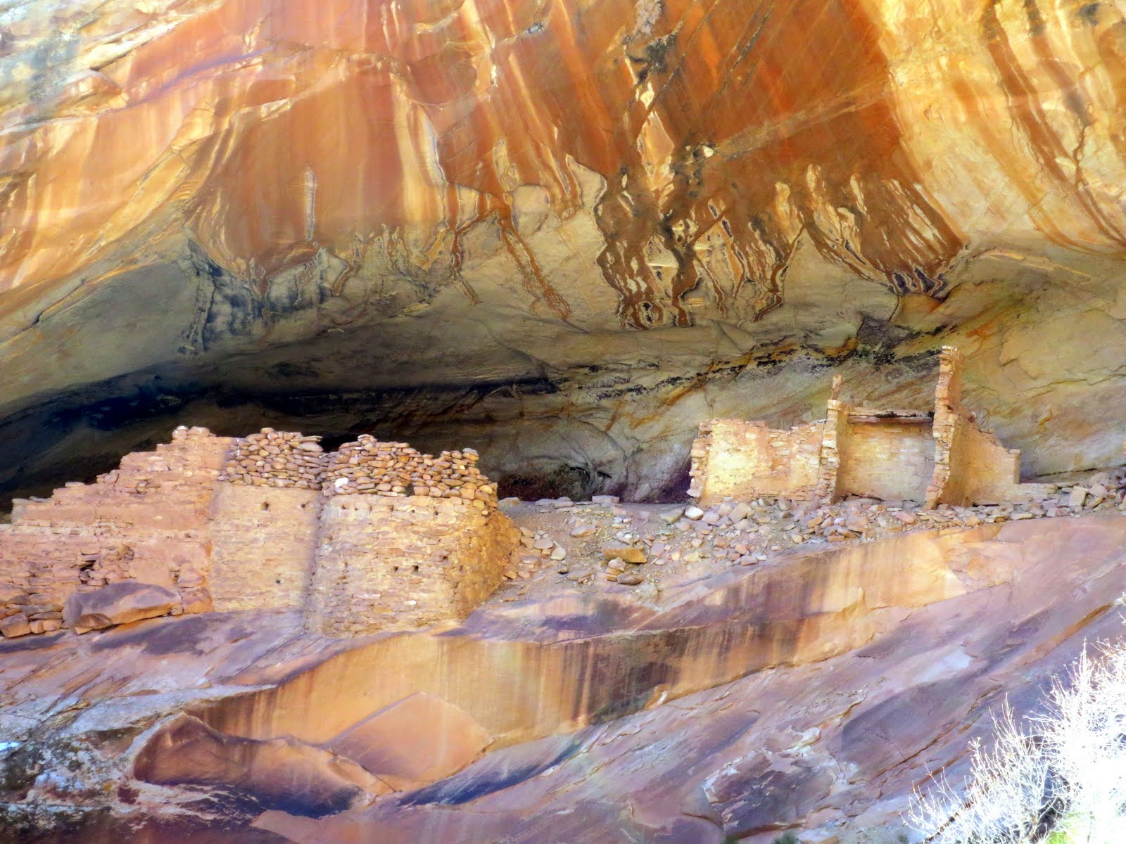 Journeys: Comb Ridge, Utah - Ancestral Puebloan Ruins