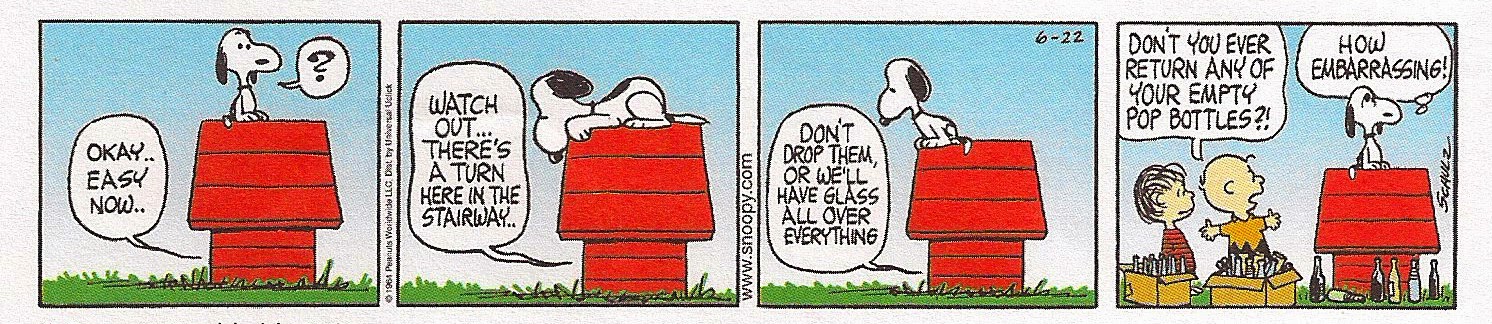 Jason's View from DC: Snoopy's House Cleaning, Part I