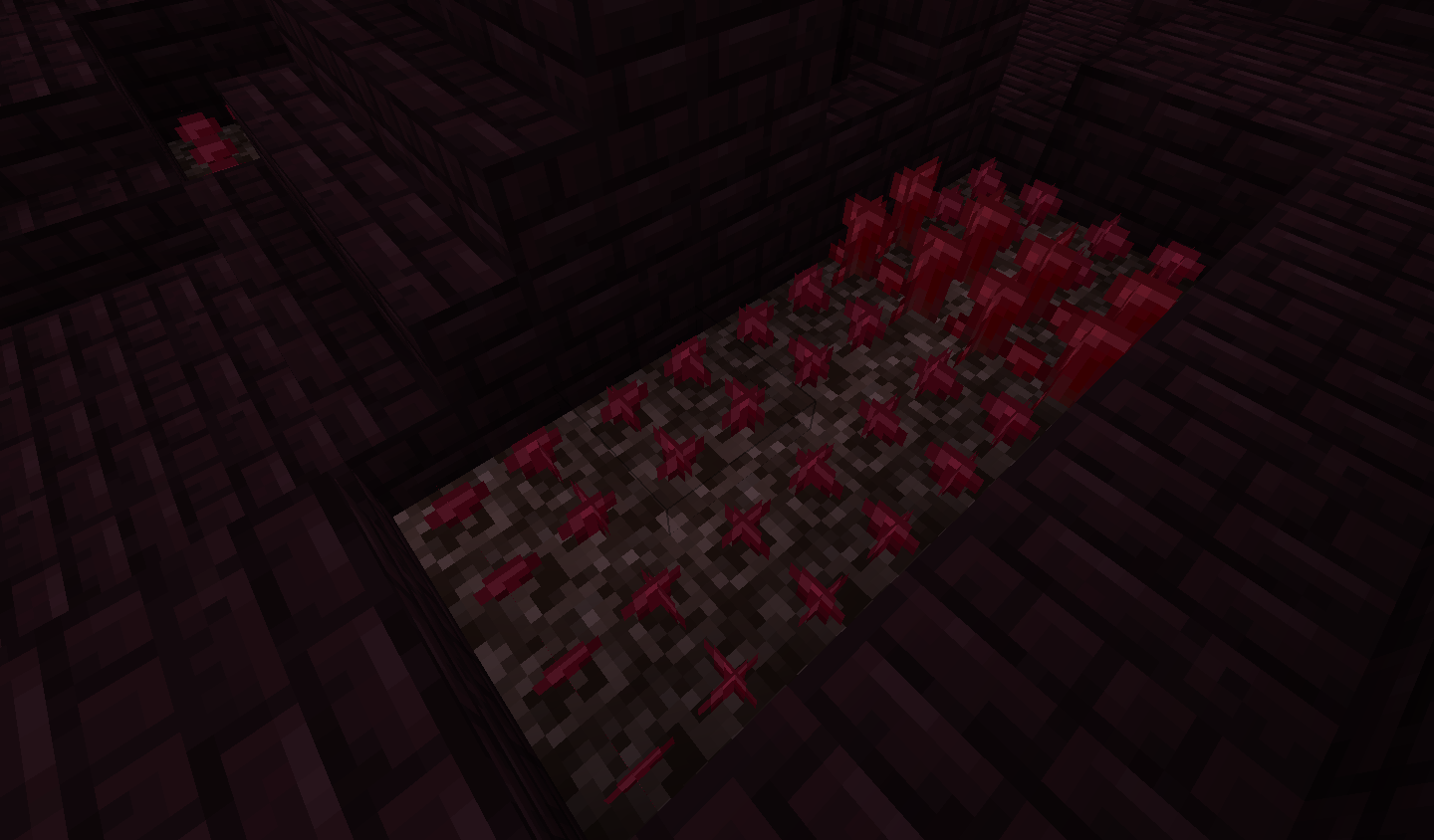 Minecraft bastion nether wart - dkQas