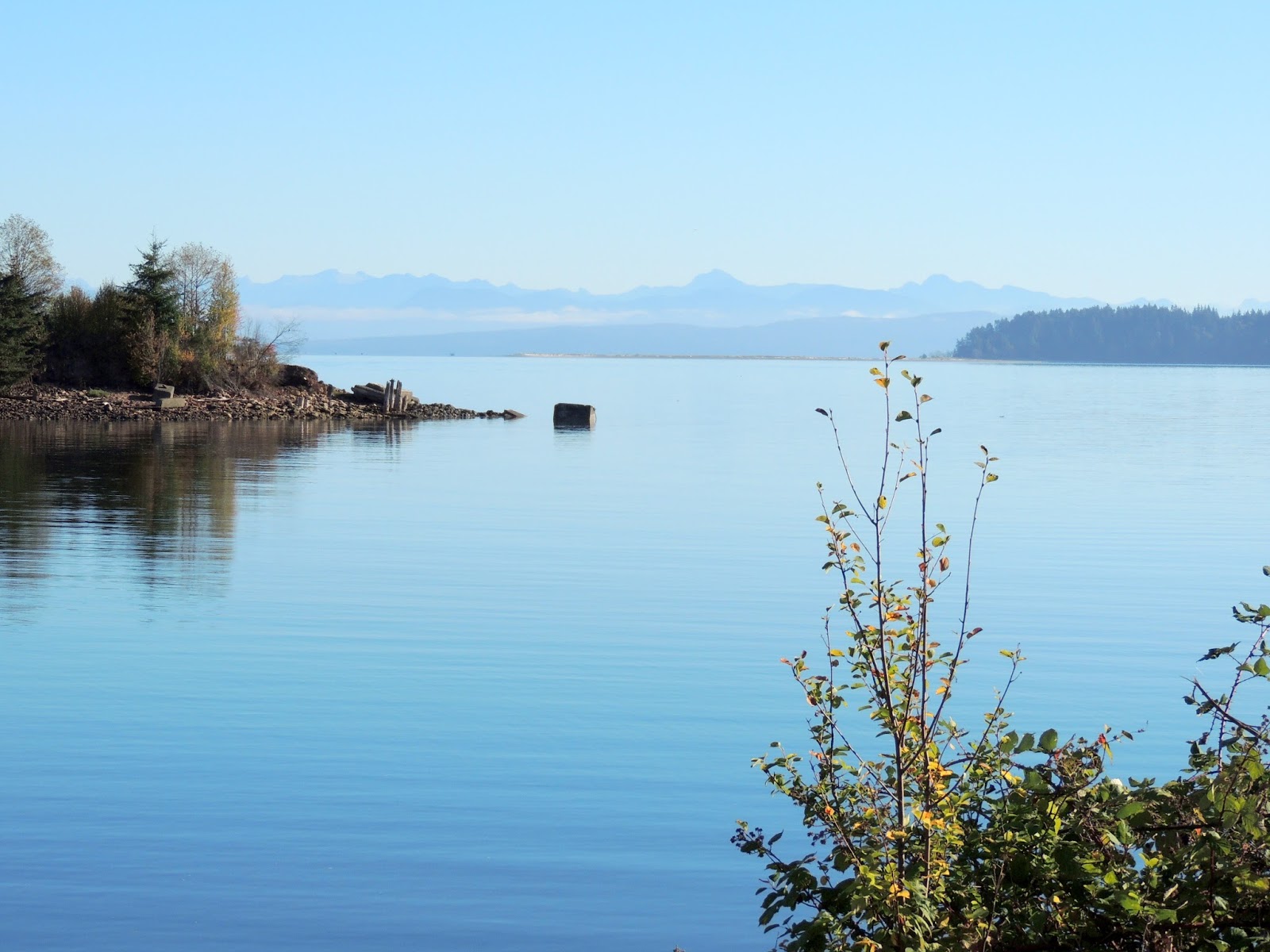 Travels Here and Abroad: Union Bay