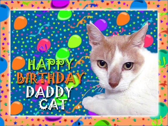 Jacqueline's Cat House: Happy 11th Birthday, Daddy Cat!!