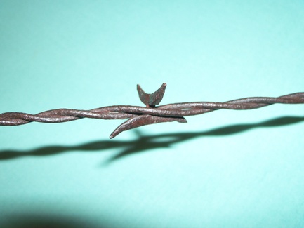 InsaneTwist: Amazing Barbed-wire Patents