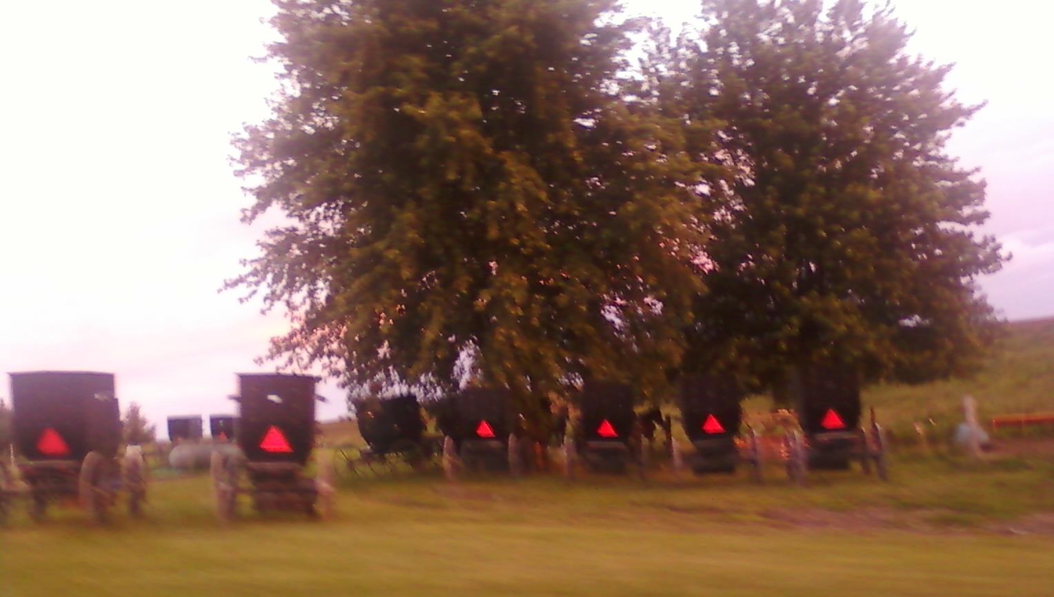 Amish Horses: Amish Singing