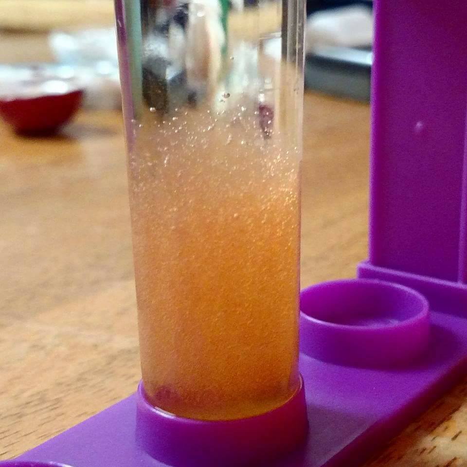 Missy Made It!: DNA Experiment.