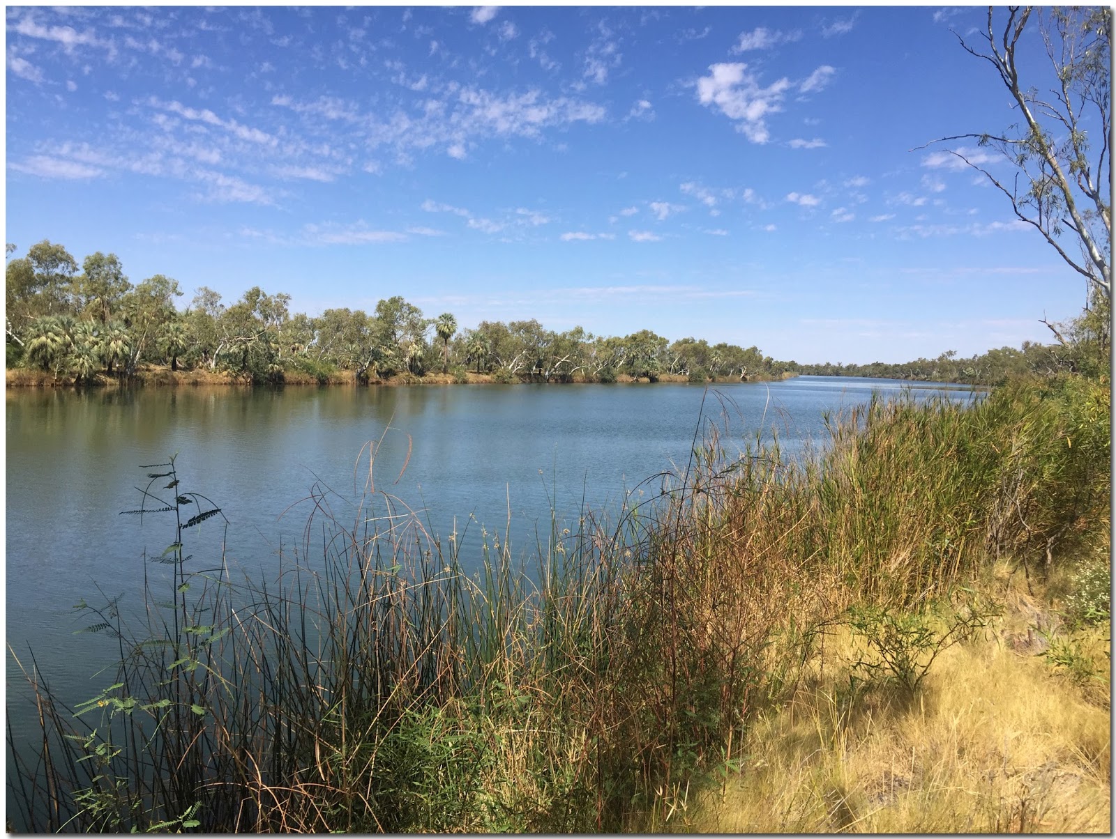 RosnRoss Bushtracker Travels: Millstream Chichester National Park