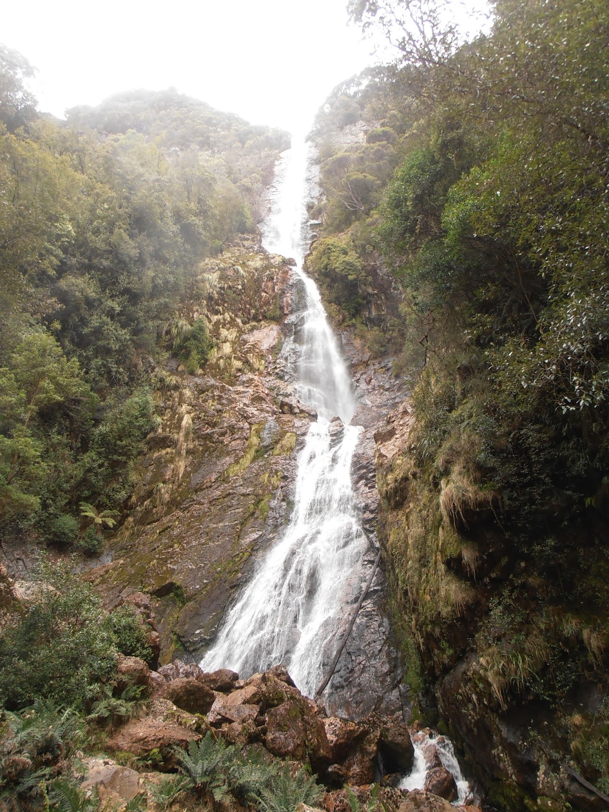 The Clarke's Aussie Adventure: 2 November 2013 - Rosebery Cabin ...