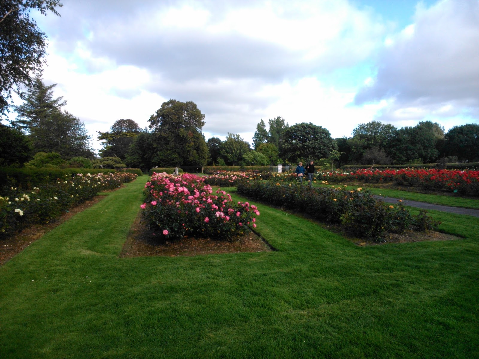 Eye - catching Tralee: TRALEE TOWN PARK - THE COLOURFUL HEART OF THE CITY