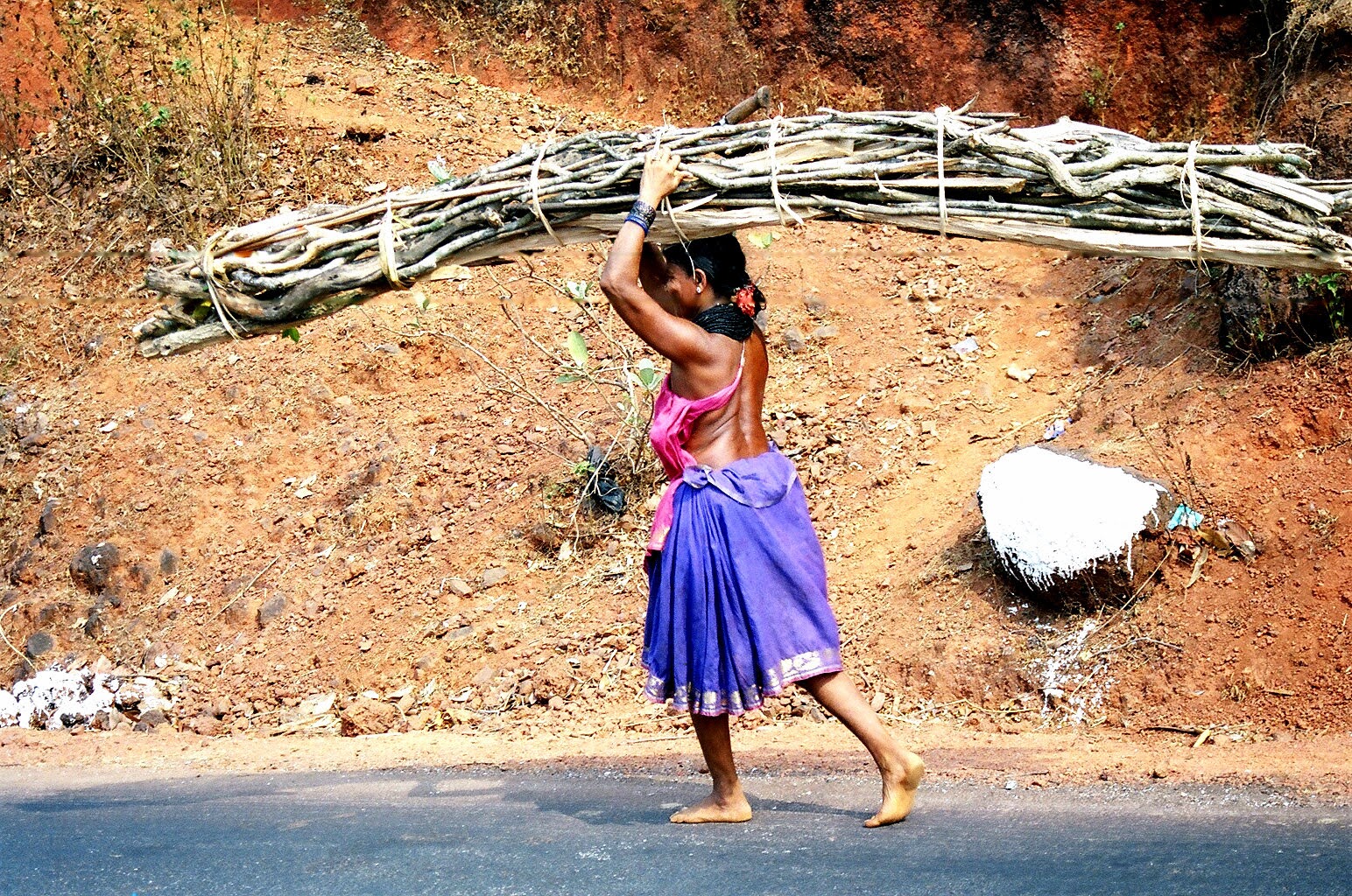 A garden in my pocket : Halakki Vokkaliga