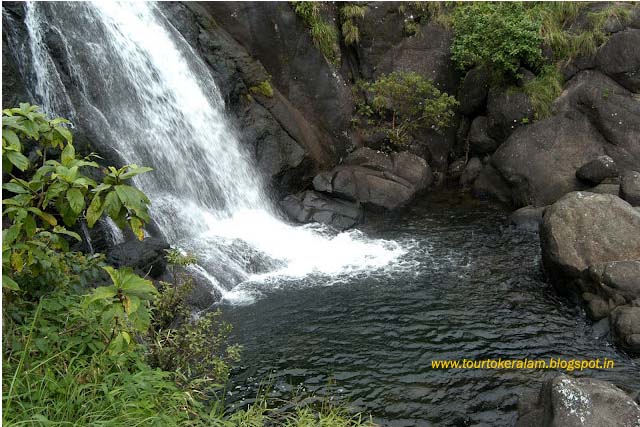 Incredible Kerala Tourism: Madamakulam - Idukki