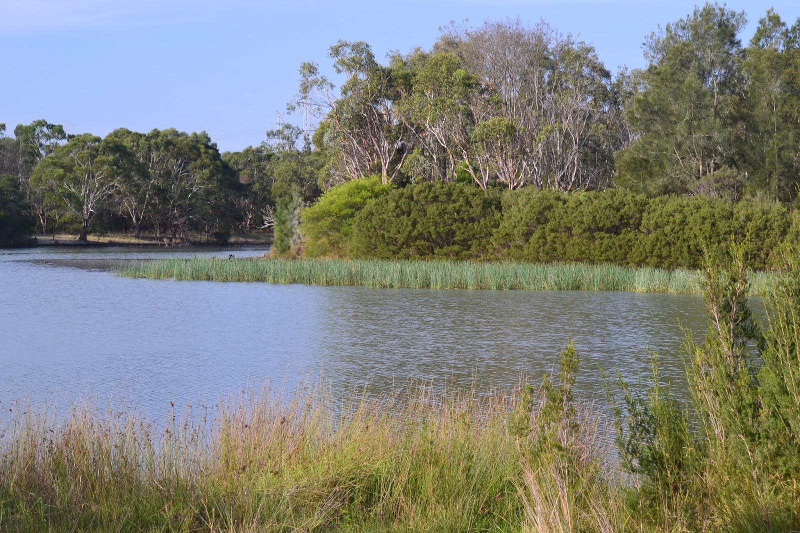 Goin' Feral One Day At A Time: Jells Park - March 2016