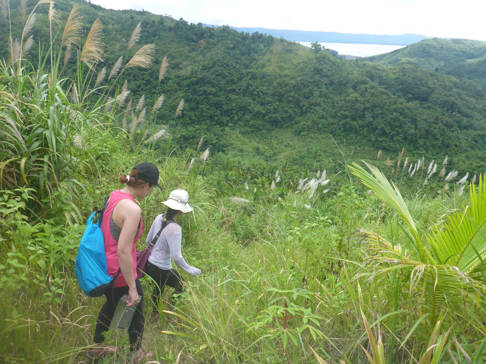 We had to stop at some point so our porter can hack the overgrowth and ...