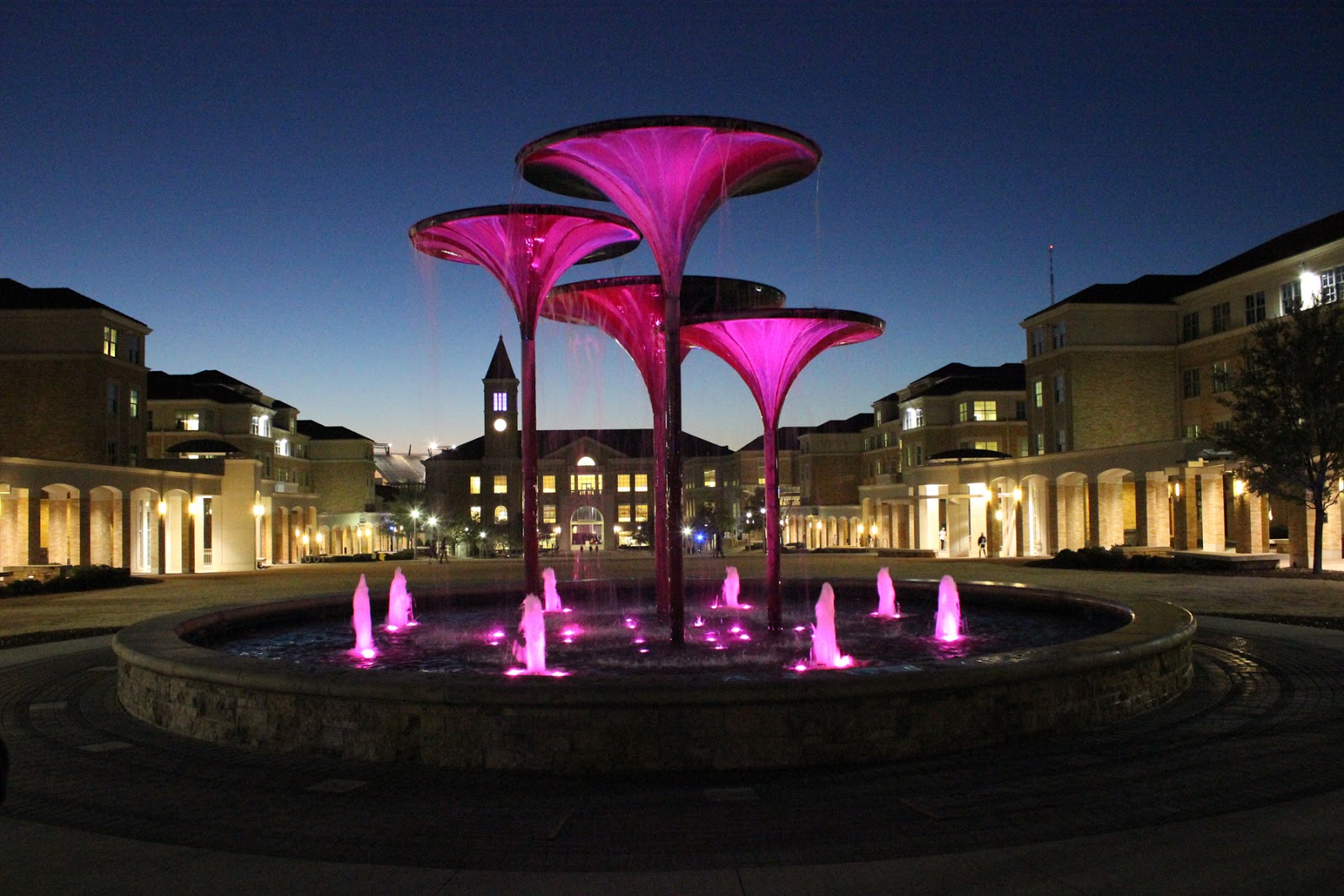 LetsTalkExposure.com: TCU DI Photo Thursdays Spring 2014 The Frog Fountain!