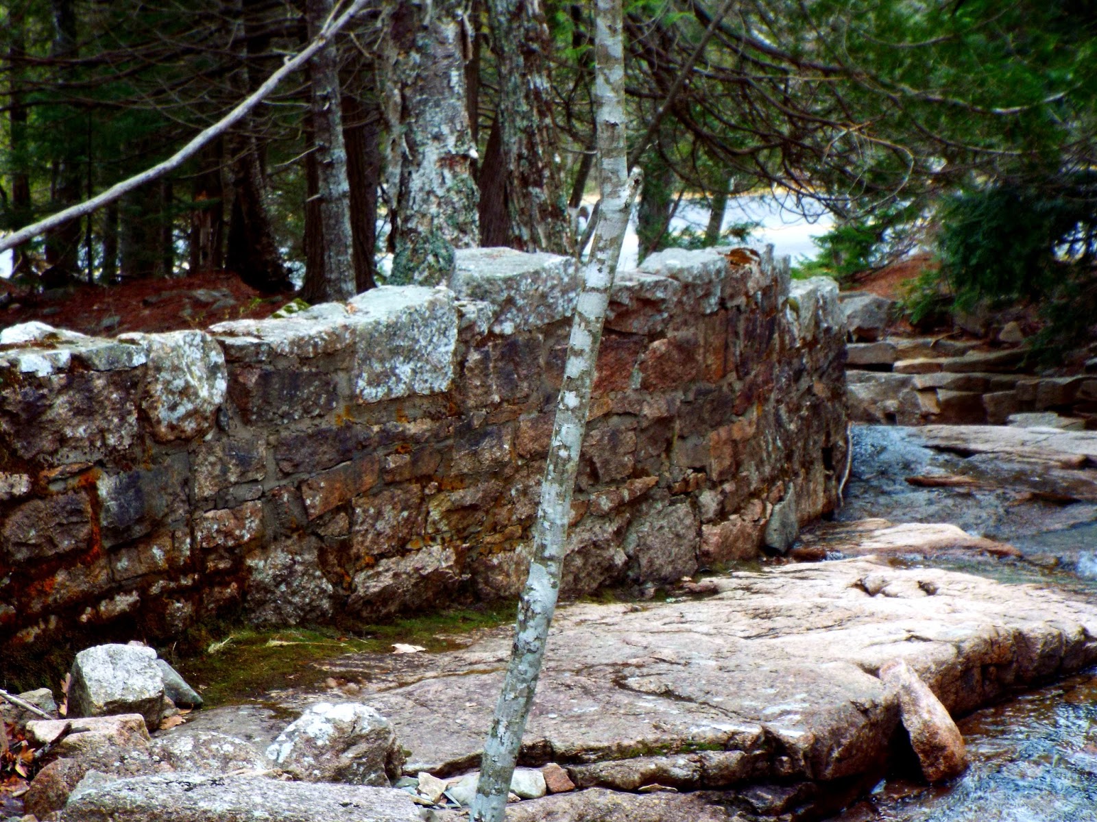 ABANDONED TRAILS OF ACADIA NATIONAL PARK: CADILLAC MOUNTAIN'S HIDDEN ...