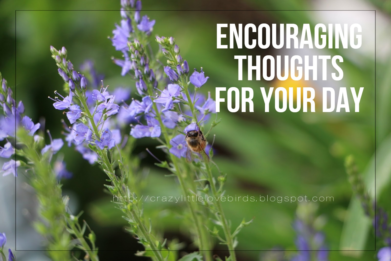 Crazylittlelovebirds: Remember.-Encouraging Thoughts For Your Day