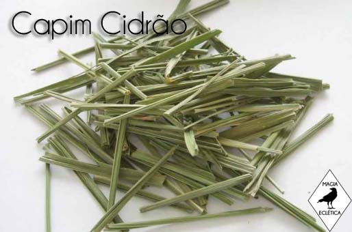 Magia Eclética ☽: Capim Cidrão / Capim Limão / Erva Cidreira