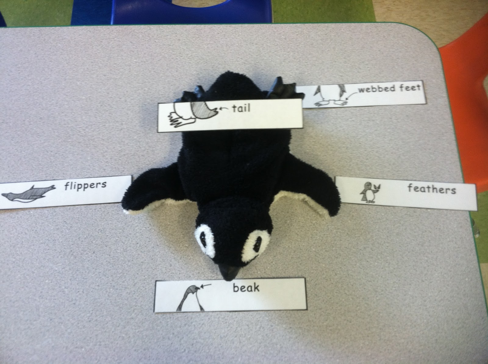 Discovery Kidzone Montessori Adventures: More Penguin Activities