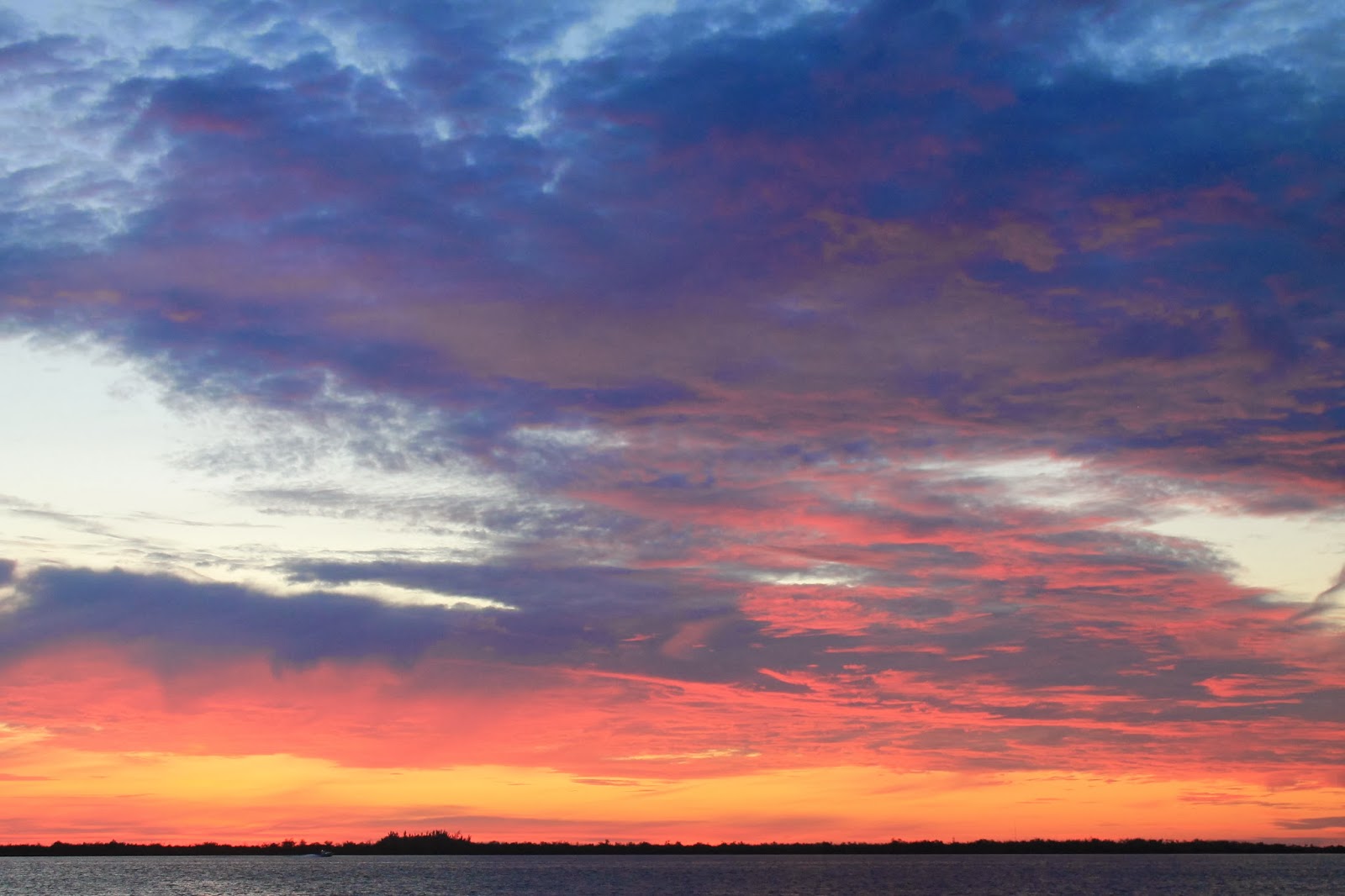 Connecting Pieces: Fall Color in the Sky