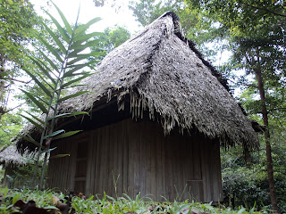 The Brainwash Times: Térraba