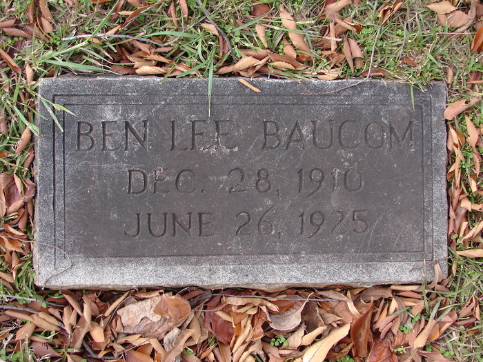 Baucom Family Bible Page: "Comer loved to stop at roadside picnic ...