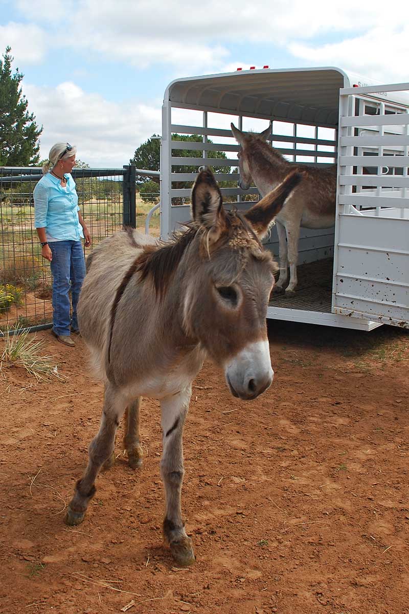 The 7MSN Ranch: Dear Van Horn Chamber of Commerce, how dare you?