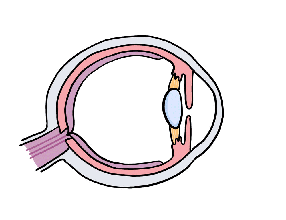 Jack Draws: October 2011