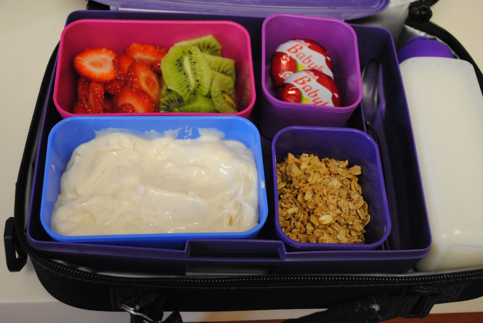 360 Lunch Boxes: Fancy's Lunch