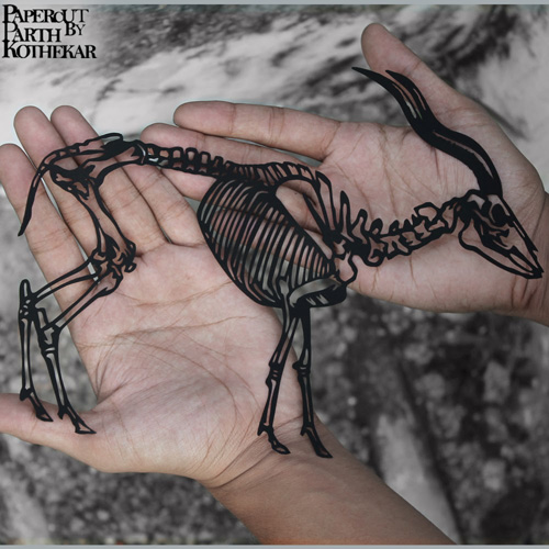 My Owl Barn: Intricate Papercut Art by Parth Kothekar