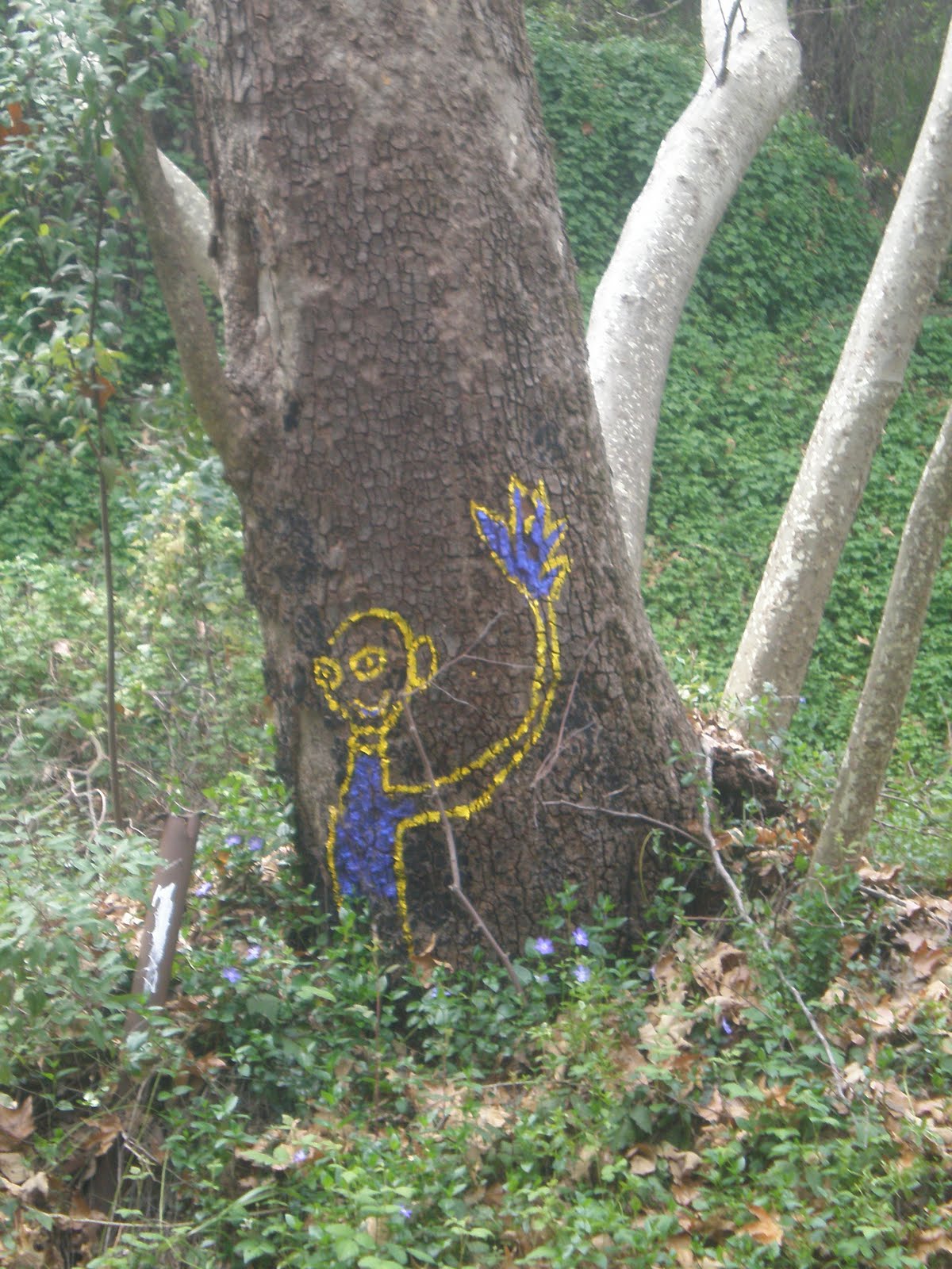 Climbing LA: Walk #42 - Pacific Palisades - Giant Steps