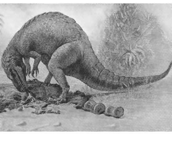 IMAGE(I)NARTE: el arte de la imaginación: CHARLES R. KNIGHT ...