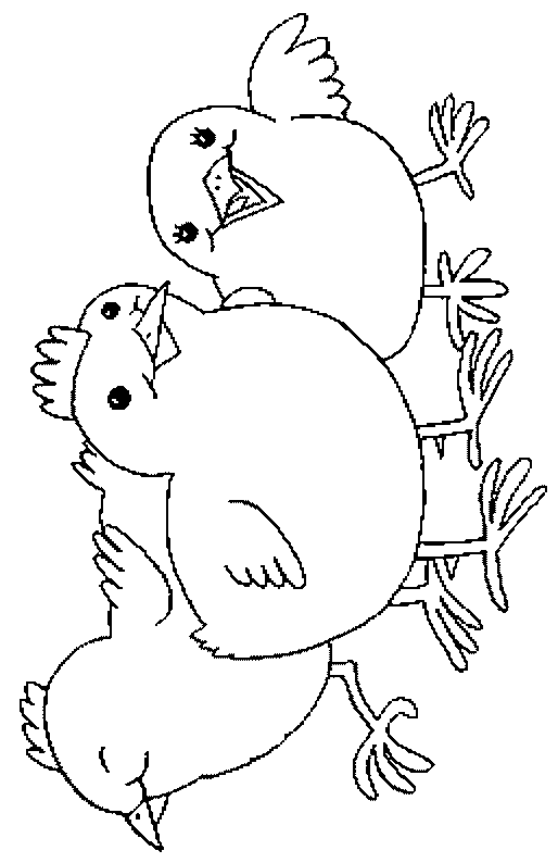 gaina, pui, pui gaina, carte de colorat imagini ~ Desene Imagini de colorat