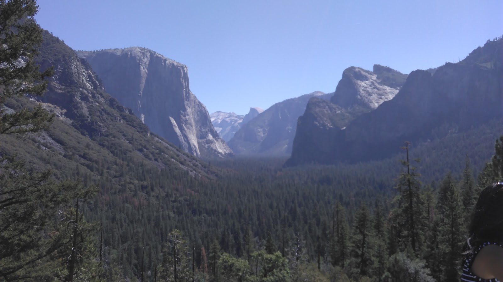 Ching-Ju Yang: 南加大Day28舊金山之旅：優勝美地國家公園