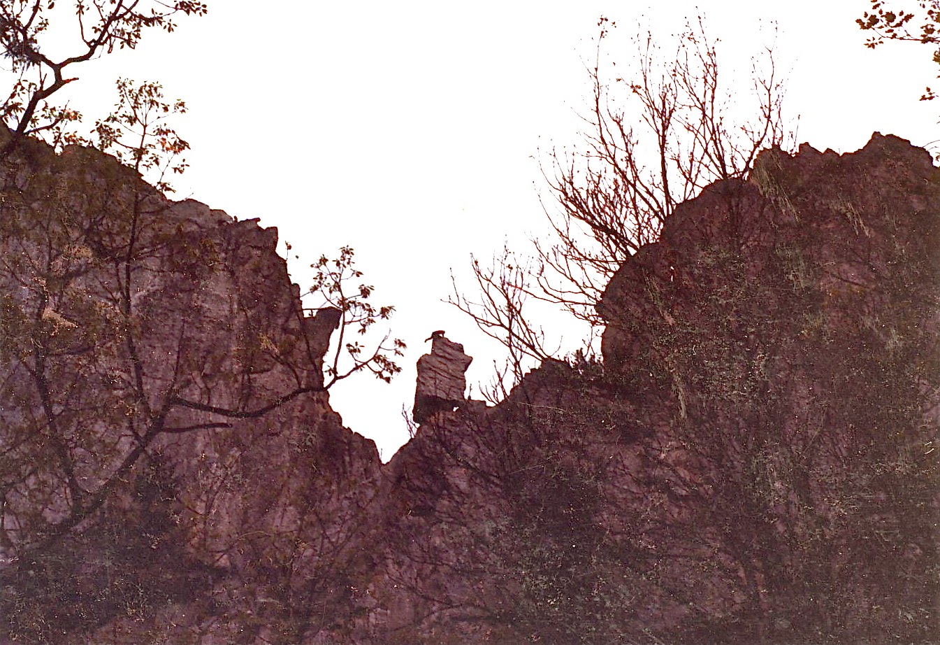 Wildfilm: Seneca Rocks, WV (Rock Climbing Part 6)