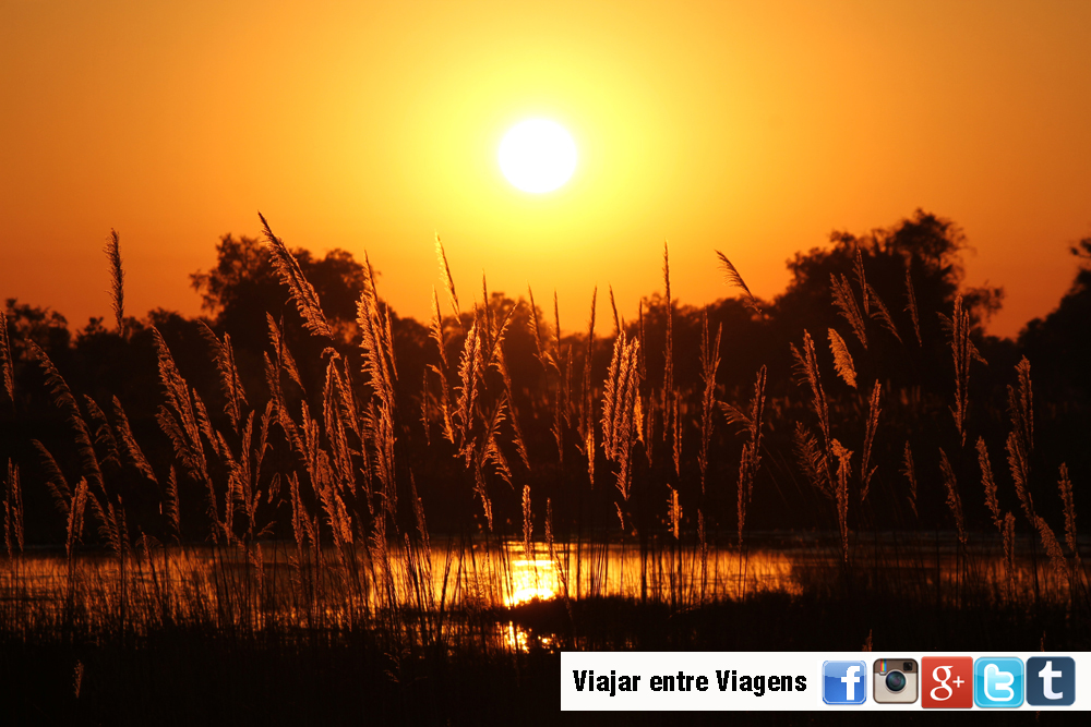 Visitar o DELTA DE OKAVANGO e explorar os seus canais | Botswana