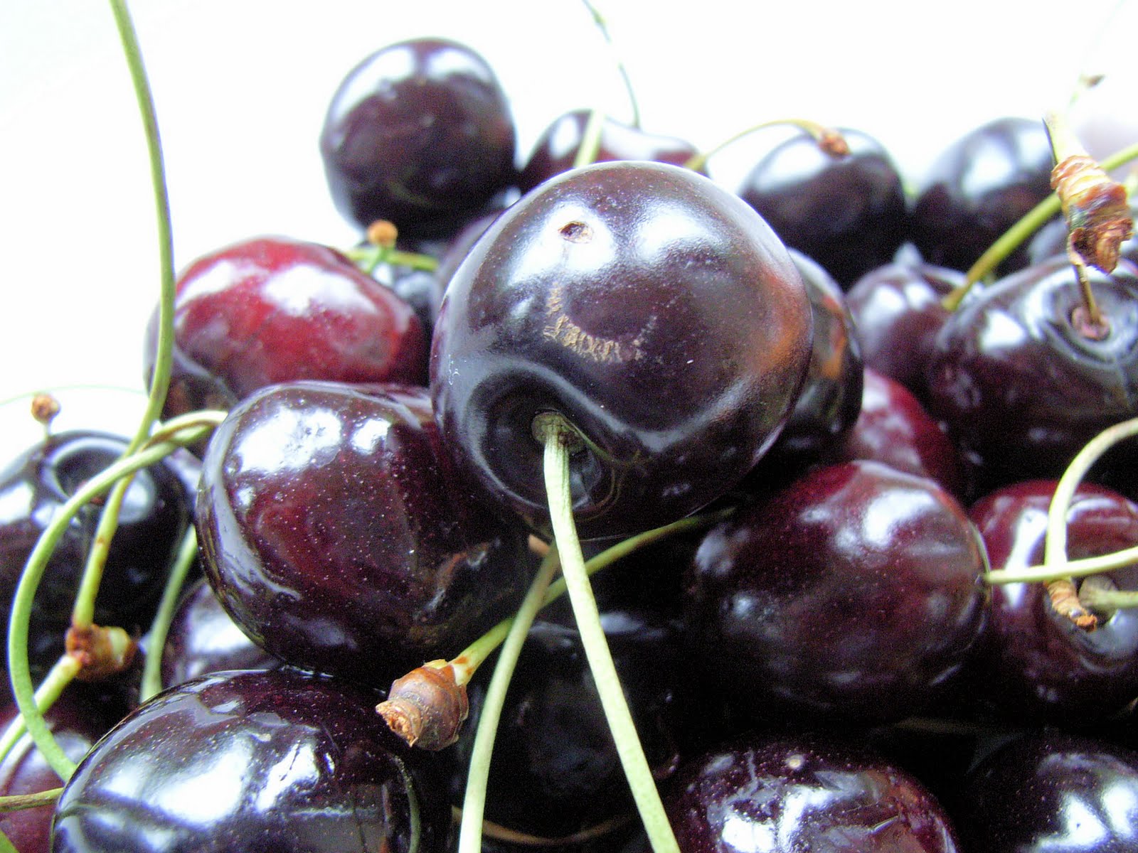 Bilder-Bibliothek: Kirschen