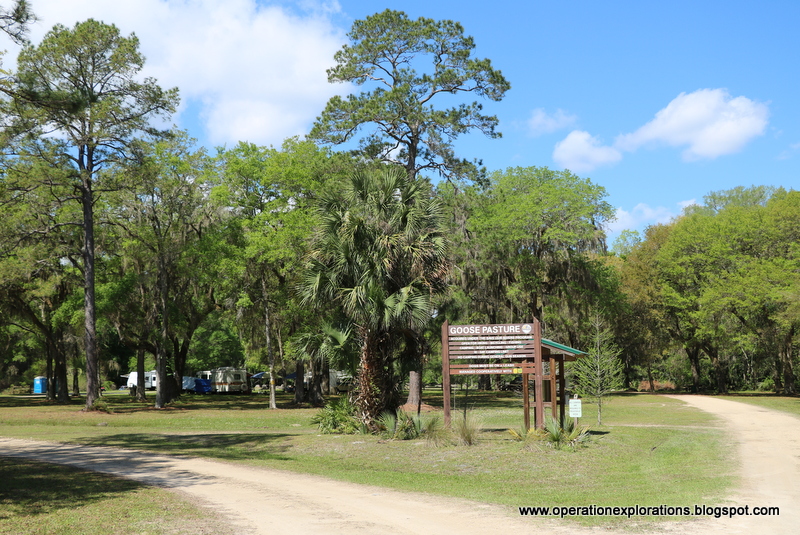 Operation Explorations: REVIEW Goose Pasture Boondocking, Suwannee ...