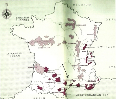 Wine Mizer: PICPOUL DE PINET