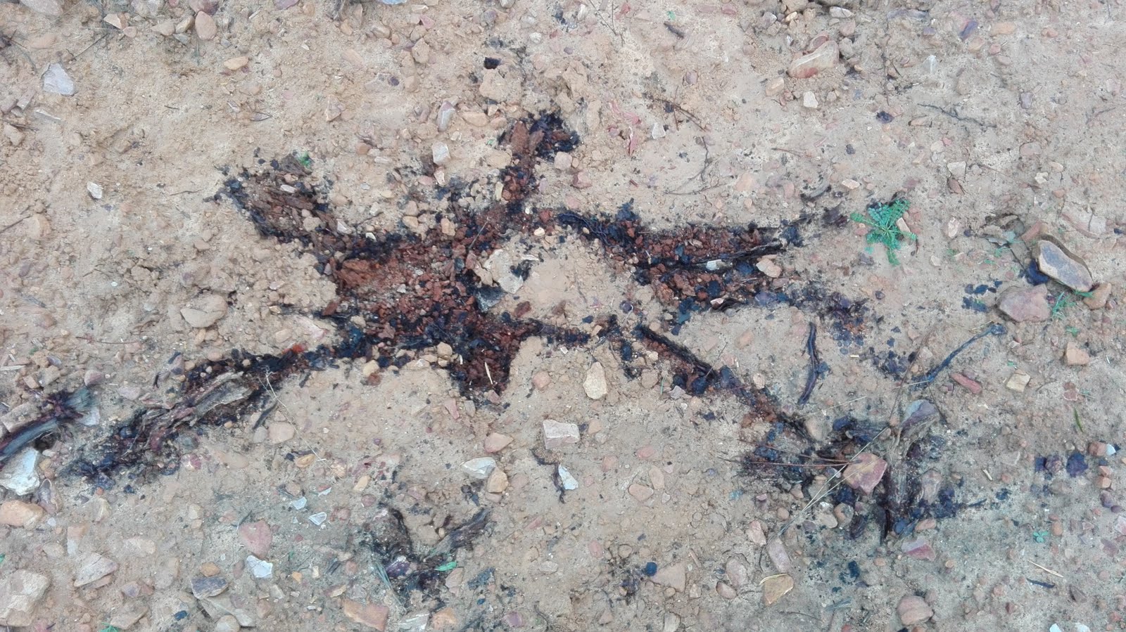 Arroba de los Montes: LOS RAYOS PETRIFICADOS O FULGURITAS EN ARROBA DE ...