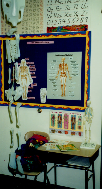 ELEMENTARY SCHOOL ENRICHMENT ACTIVITIES: SKELETON-TEACHING BONES