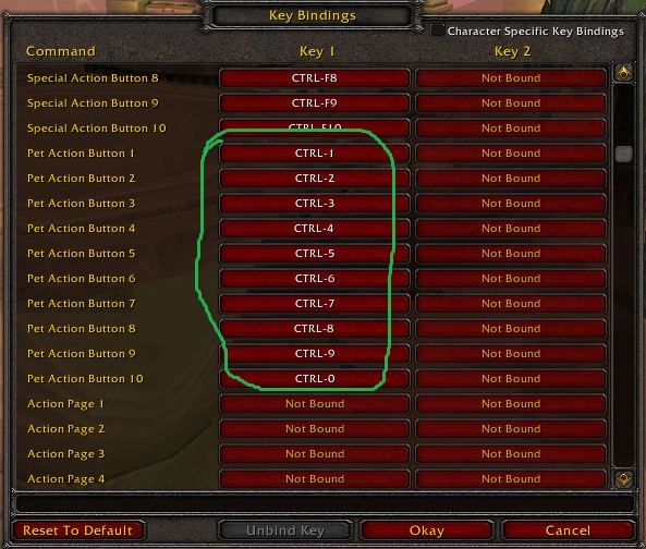 Hunters Rhok: Cataclysm Pet Control: Part One - Attack, Follow and Move To