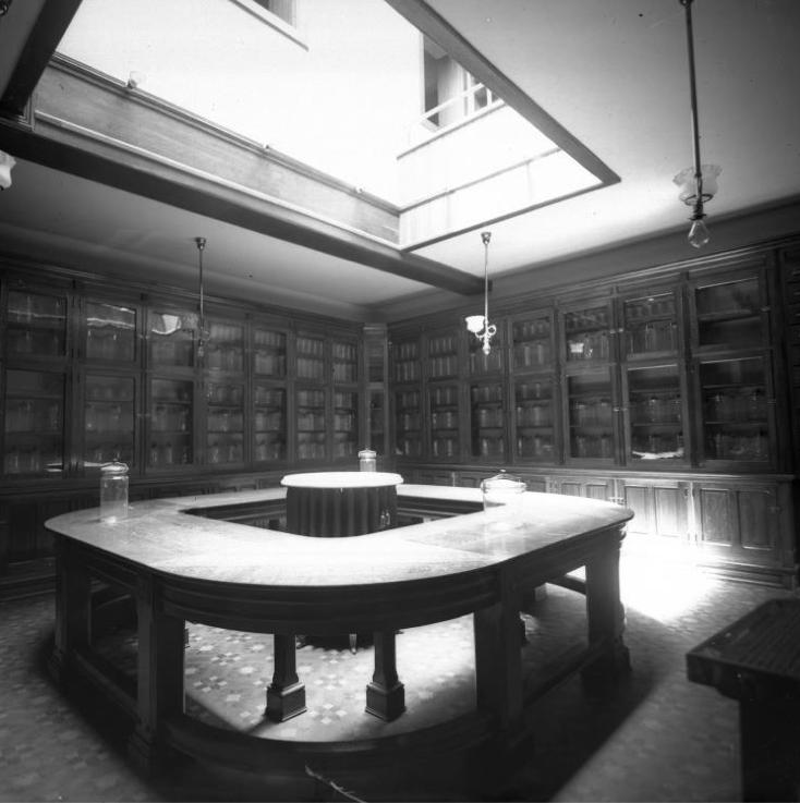 A Grave Interest: Four Fascinating Medical Museums