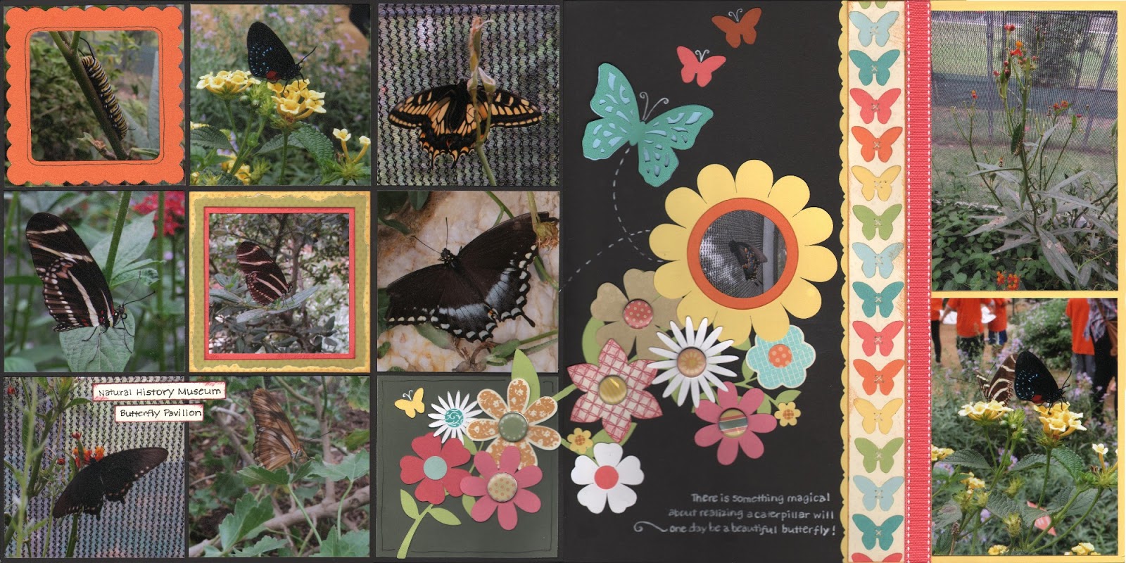 Even More Scrapping!: The Magic of Butterflies Layout