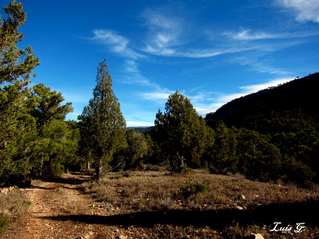 UN SOÑADOR POR LAS CUMBRES: La mirada del río Alcalá