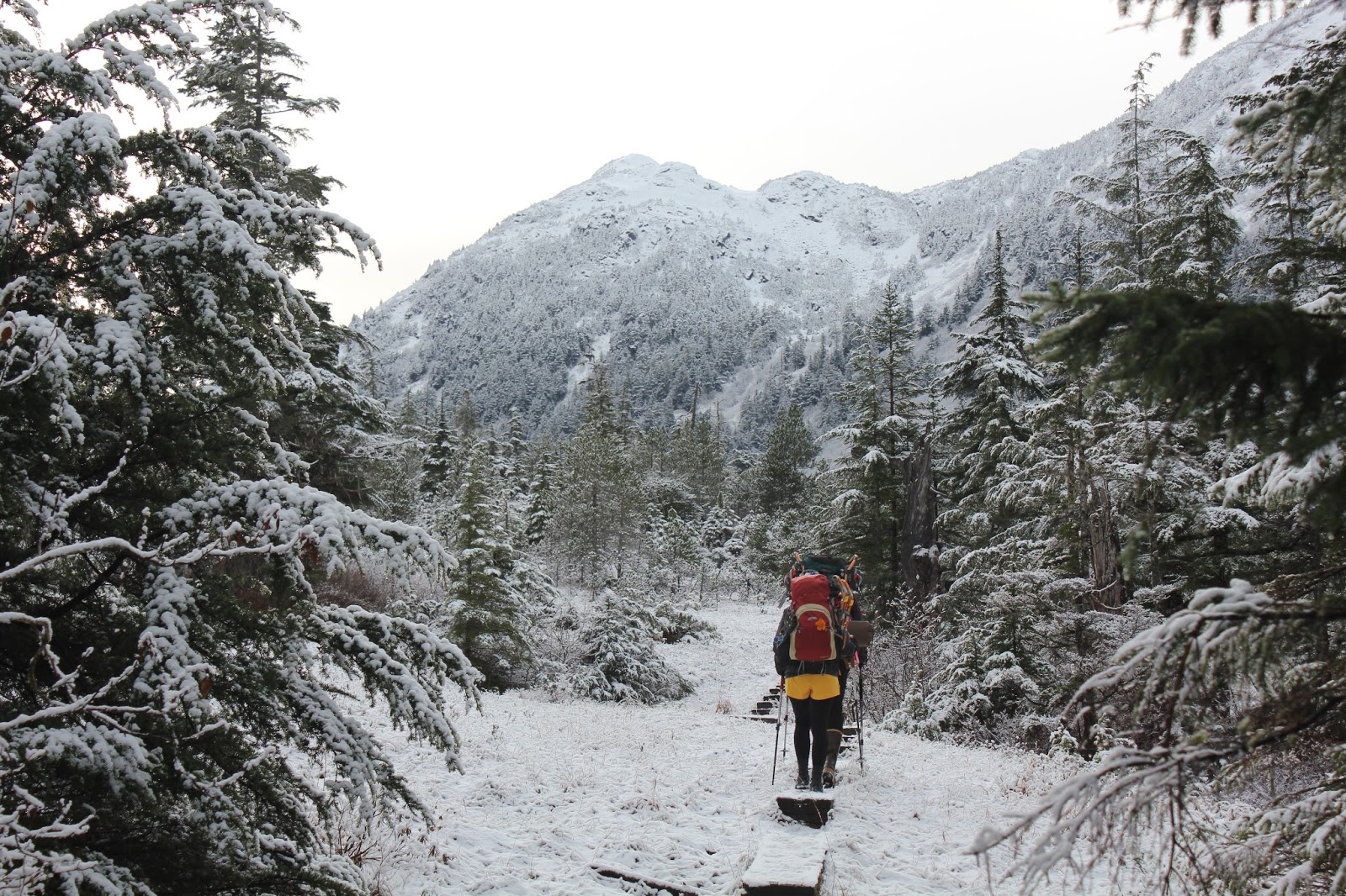 An Epic Avalonian Adventure: Juneau, Alaska - Part 1 (Dan Moller Cabin)