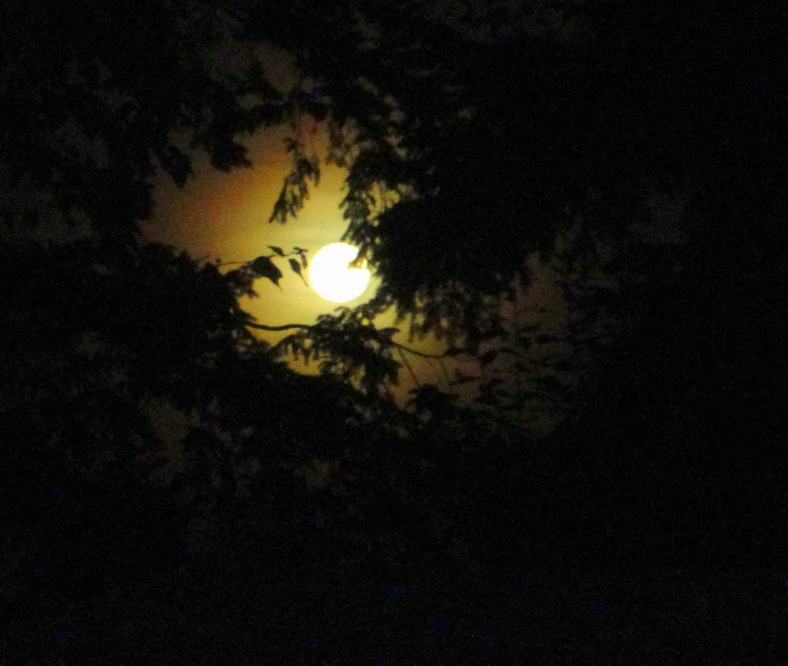 "Inside Out": Mother Moon