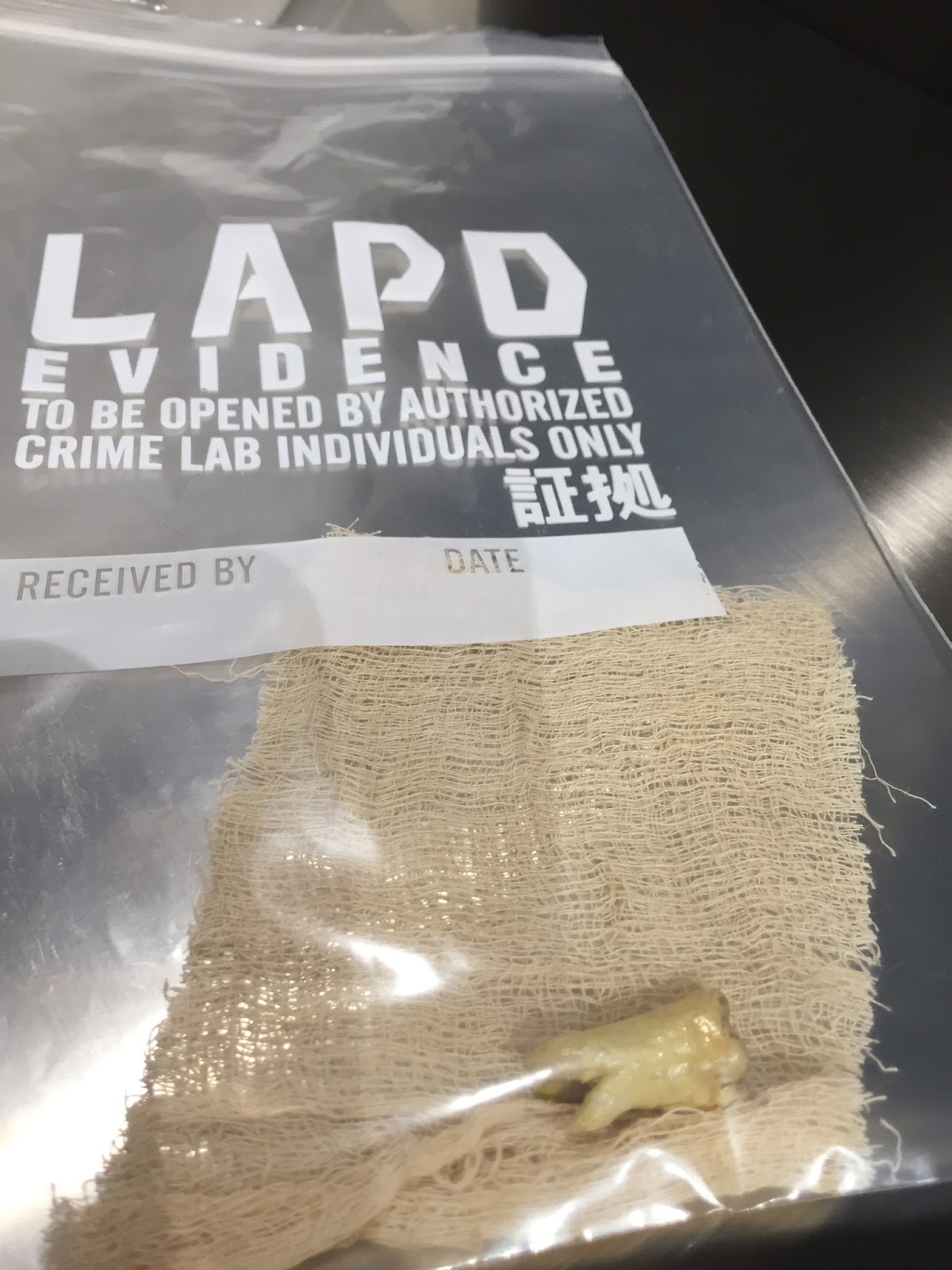Blade Runner: 2049 LAPD Evidence Bag with Rachael's Artificial Tooth ...