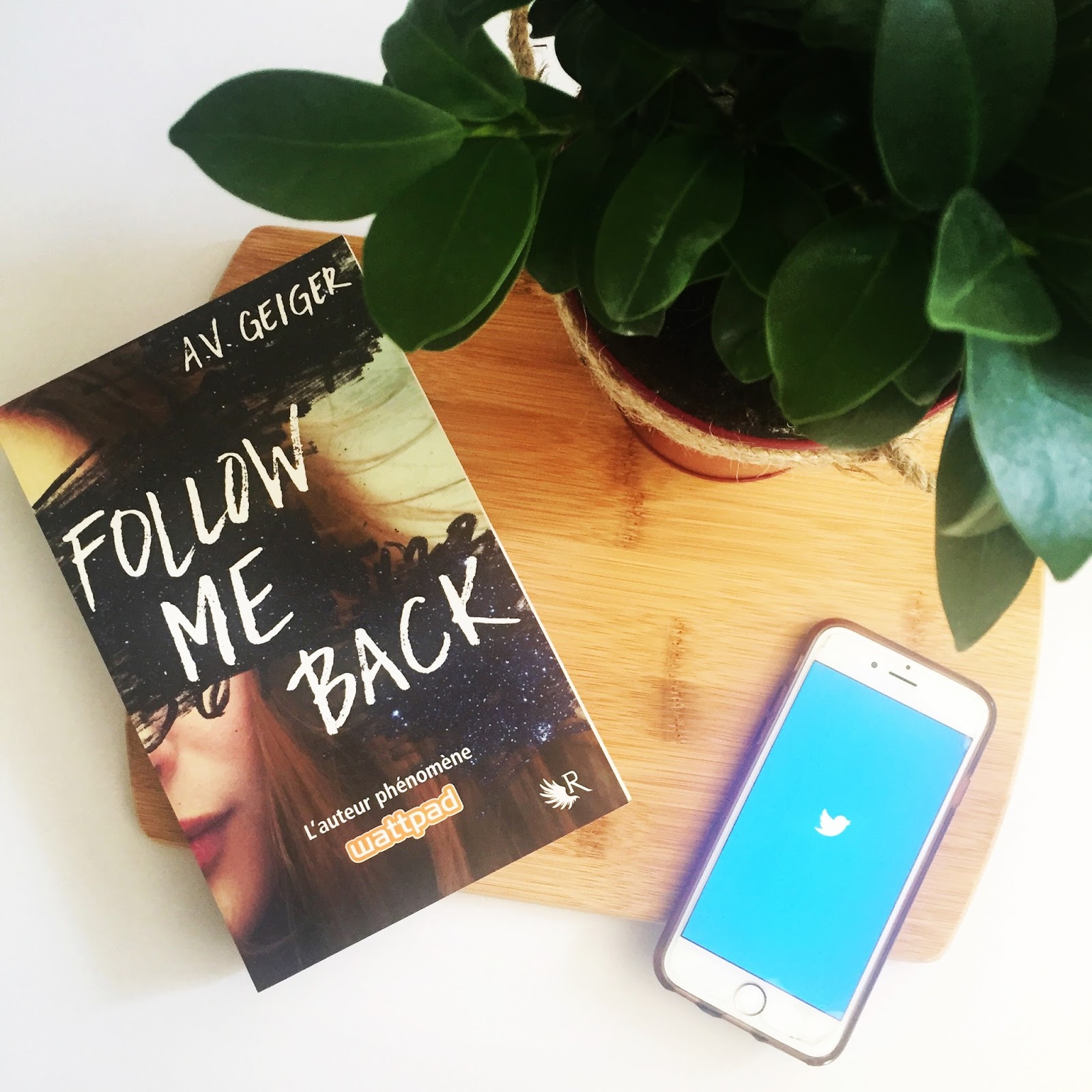 Un livre en hiver: Follow me back, d'A.V. Geiger.