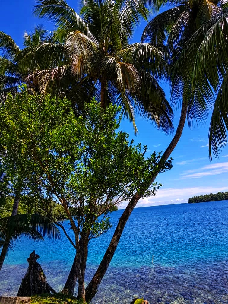 Morobe Tourism Bureau: Best of Finschhafen