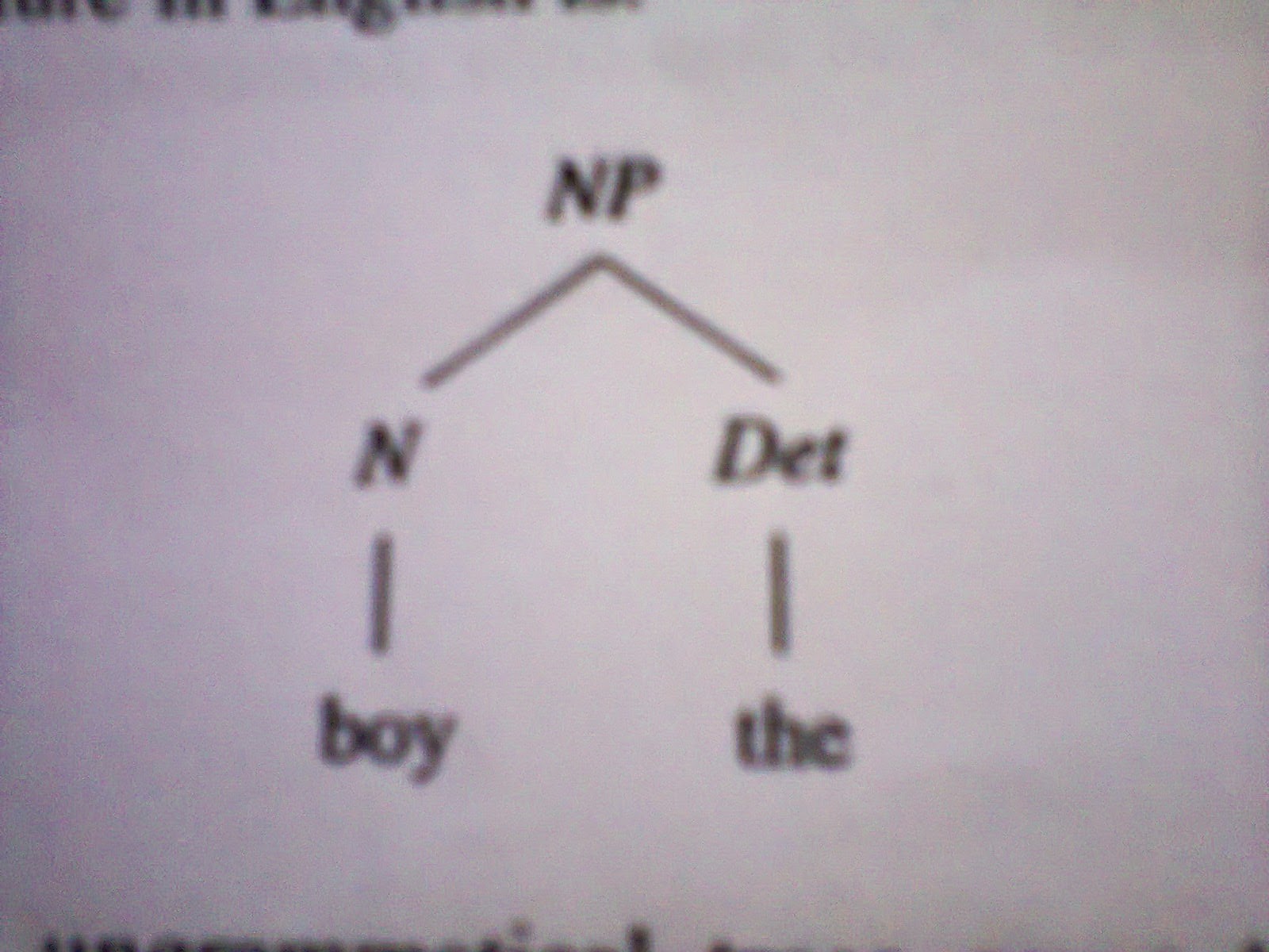Phrase structure rules